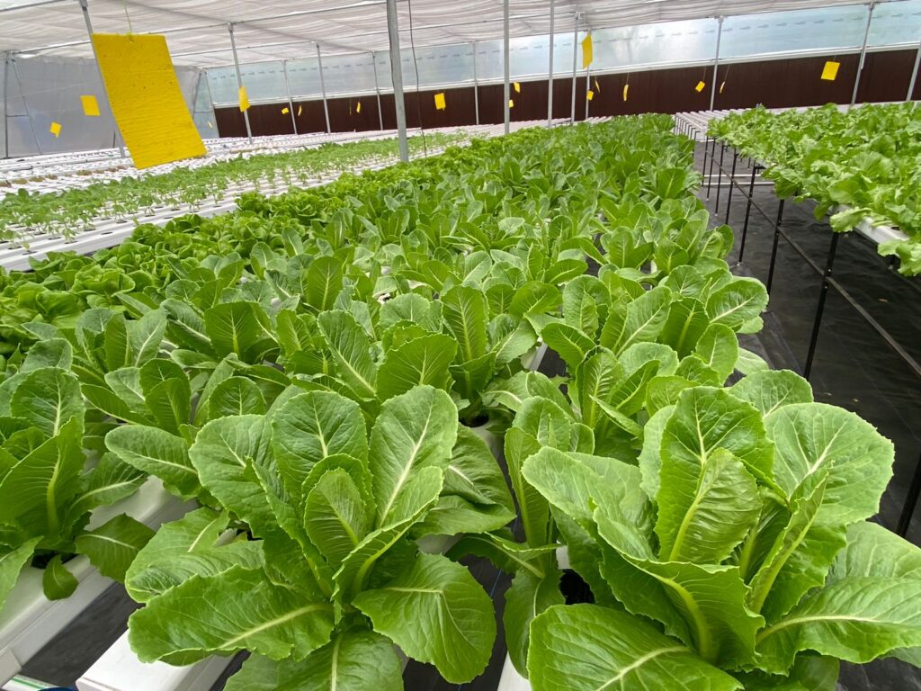 Commercial Farming – GrowPro