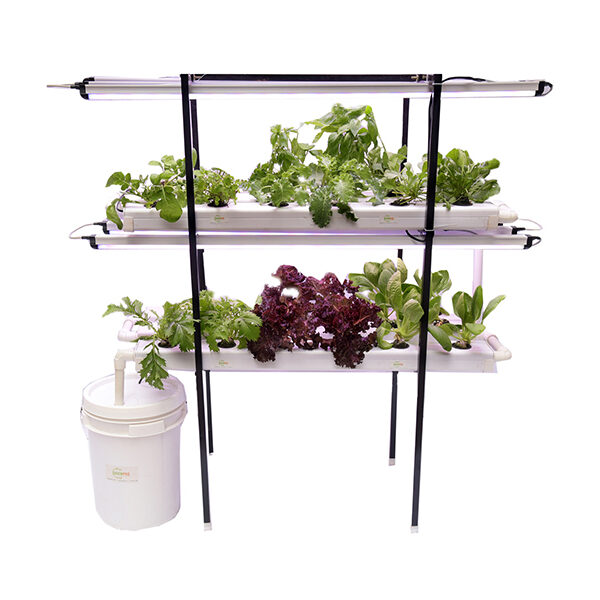 Hydroponic Indoor and Outdoor Growers | Stylish Solutions in Multiple ...