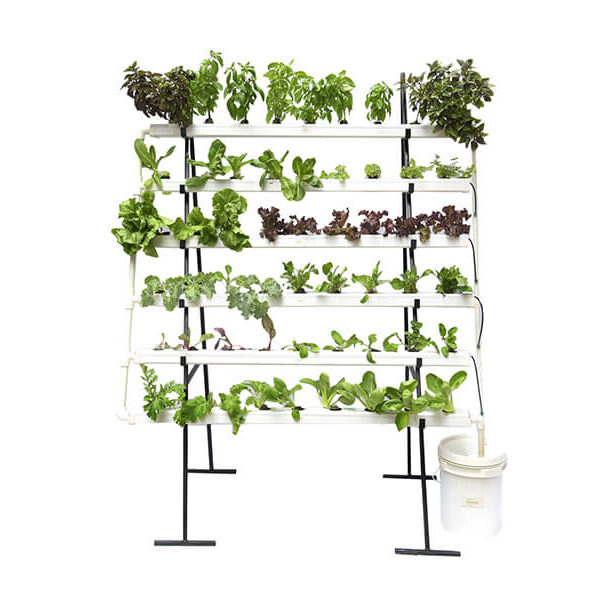 Shop Hydroponic Kitchen Garden | Small Grower - 18 Planter | GrowPro