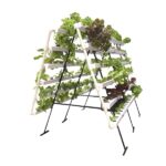 Hydroponic Indoor and Outdoor Growers | Stylish Solutions in Multiple ...