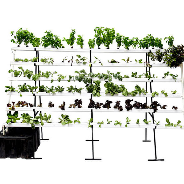 Shop Hydroponic Kitchen Garden | Small Grower - 18 Planter | GrowPro