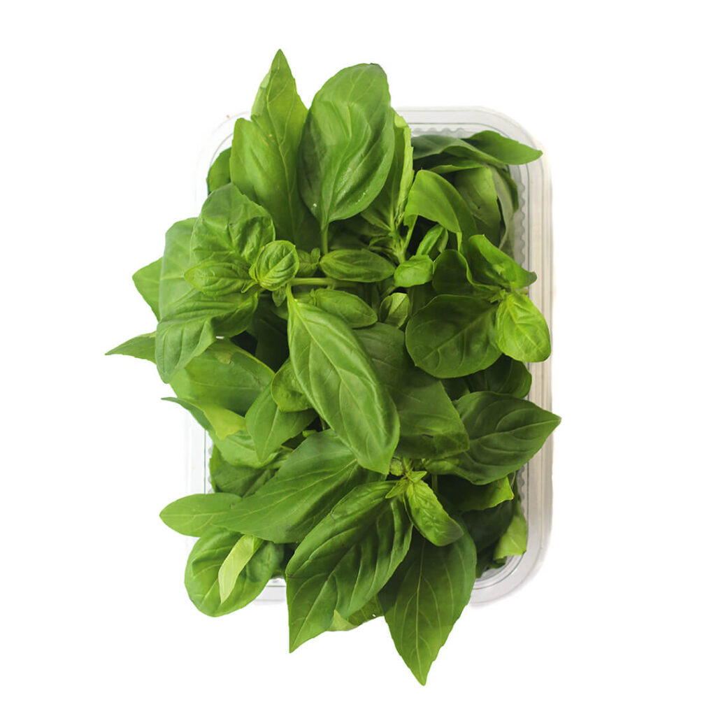 Fresh, Flavorful Italian Basil | Shop Now Online at GrowPro