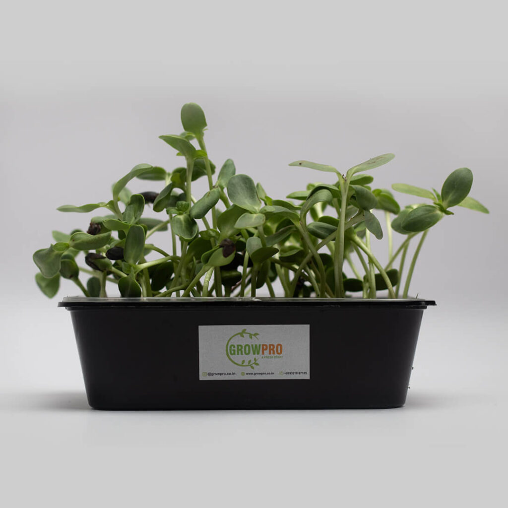 Hydroponic Microgreen Growing Kits | Order Online at GrowPro