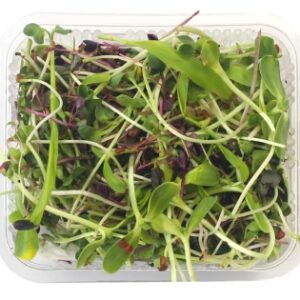 Produce - GrowPro
