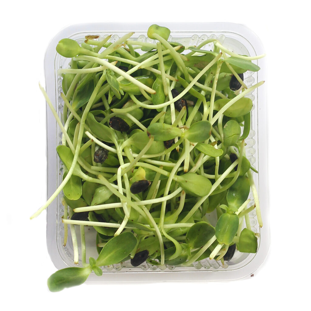 Leafy Greens, Herbs & Microgreens | Shop Online at GrowPro
