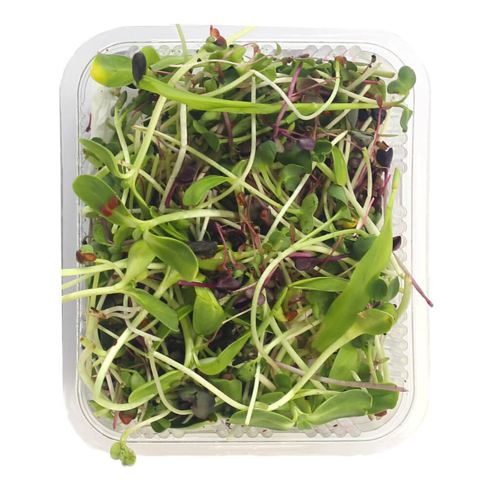 Explore Fresh Microgreens | Buy Mix Microgreens at GrowPro