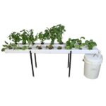 Hydroponic Indoor and Outdoor Growers | Stylish Solutions in Multiple ...